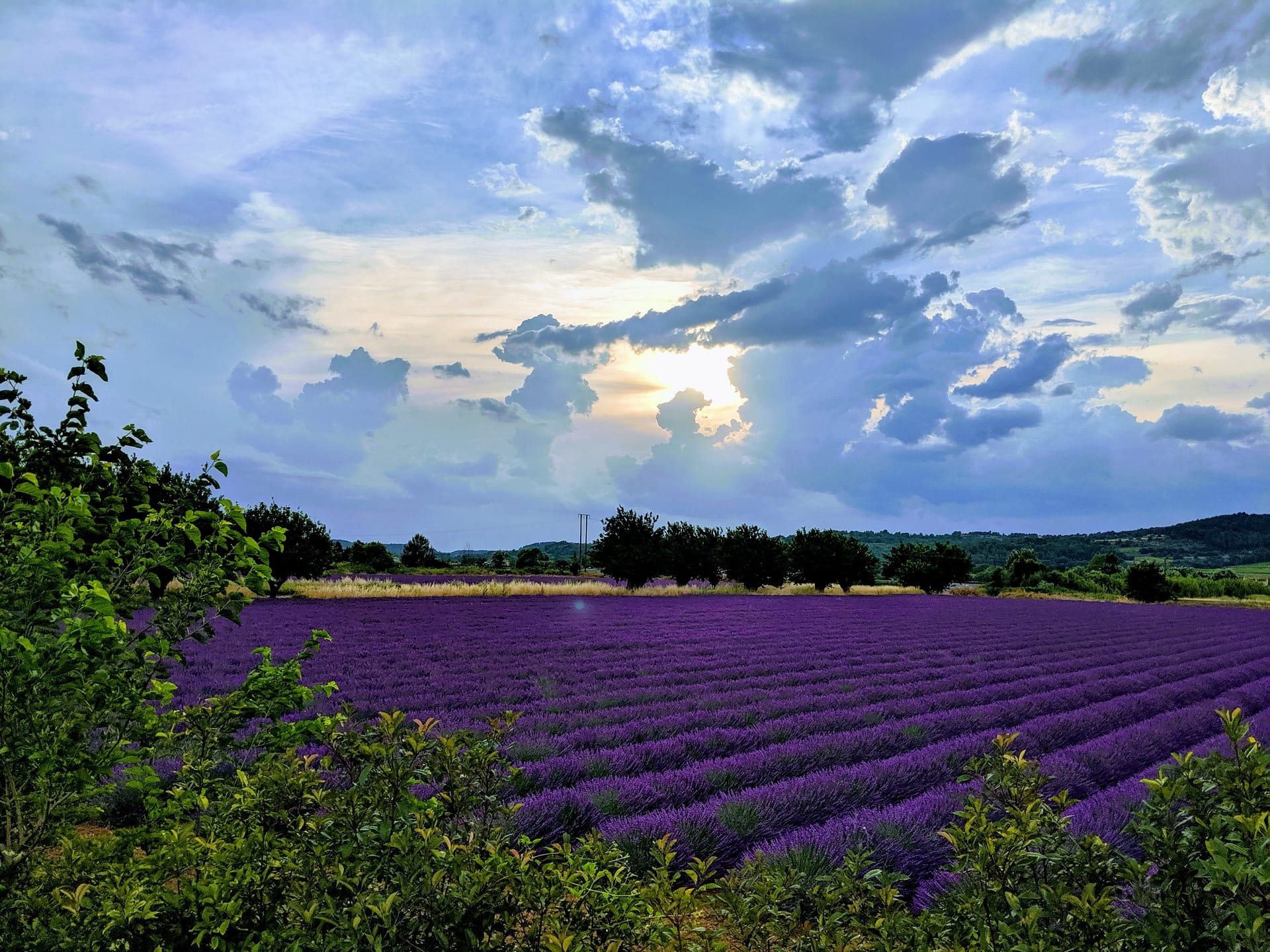 Provence - Esprit of Adventures